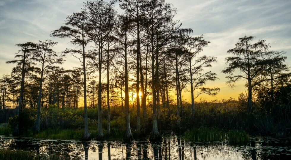 Meet the Developer | EverBe New Construction Homes in Orlando